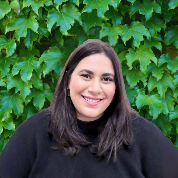 Meet the team – Creative Natives